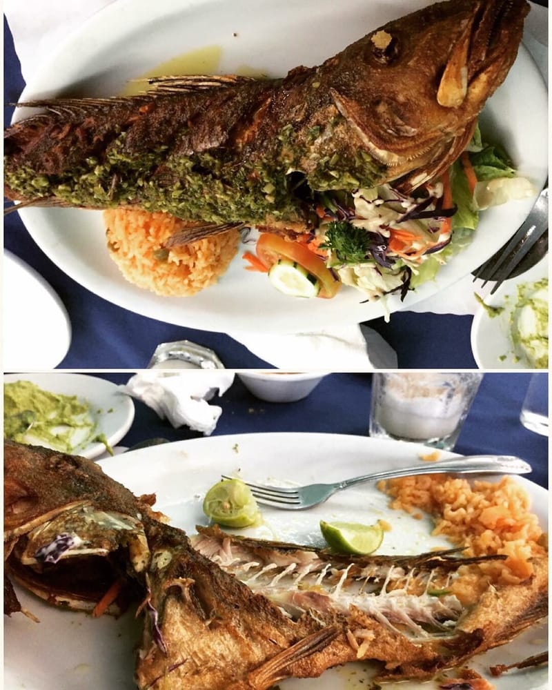 Mariscos Bahia de Ensenada - 121 Photos & 50 Reviews - Seafood - Av ...
