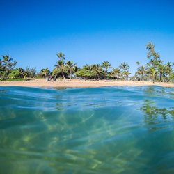 Lydgate Beach Park - 291 Photos & 144 Reviews - Parks - 4470 Nalu Rd ...