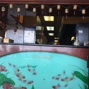 China Chef - 11 Photos & 25 Reviews - Chinese - 1069 2nd Street Pike ...