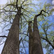 Reeves-Reed Arboretum - 115 Photos & 13 Reviews - Venues & Event Spaces ...