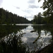 Lake Fenwick Park - 35 Photos & 12 Reviews - Parks - 25828 Lake Fenwick ...