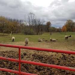 Maybury Farm - Community Service/Non-Profit - 50165 8 Mile, Northville ...