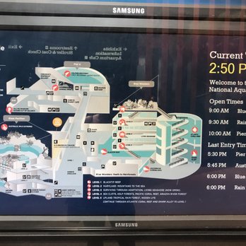 National Aquarium - 1542 Photos & 745 Reviews - Aquariums - 501 E Pratt ...