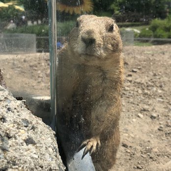 Essex County Turtle Back Zoo - 958 Photos & 292 Reviews - Zoos - 560 ...