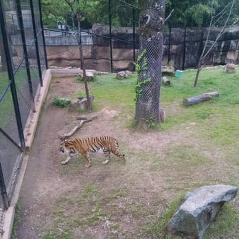 Little Rock Zoo - 128 Photos & 42 Reviews - Zoos - 1 Zoo Dr, Little ...