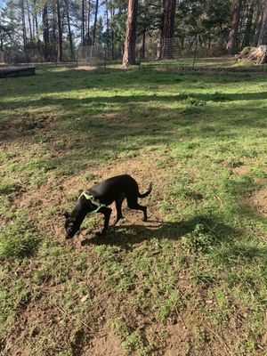 Sutherlin, OR Map & Directions - MapQuest