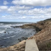 Point Loma Tide Pools - 394 Photos & 101 Reviews - Beaches - Gatchell ...