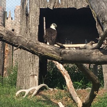 Red River Zoo - 91 Photos & 24 Reviews - Amusement Parks - 4255 23rd ...