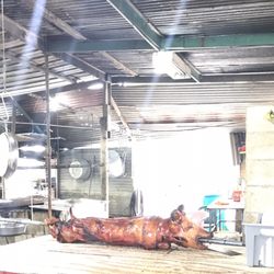 El Rancho de Apa - Puerto Rican - Carretera 173 km. 28.9, Hato Nuevo ...