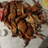 Quarterdeck - 274 Photos & 459 Reviews - Seafood - 1200 Fort Myer Dr ...