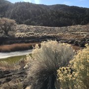 Angeles Crest Creamery - 14 Photos - Farms - 19830 Big Pines Hwy ...