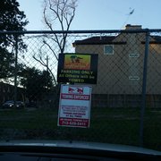 Reggae Hut - 158 Photos & 246 Reviews - Caribbean - 4814 Almeda Rd ...