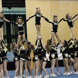 Wild Cheer Athletics - 13 Photos - Gymnastics - 194 Killam Drive ...