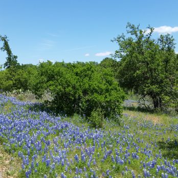 Copperfield Nature Trails - 41 Photos & 12 Reviews - Community Service ...