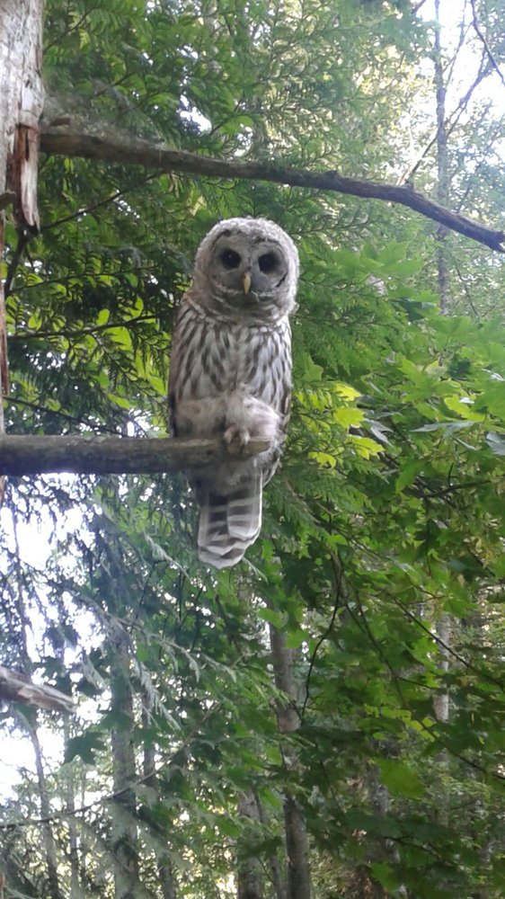 Edith Moulton Park - 37 Photos - Parks - 108TH Ave NE, Kirkland, WA - Yelp