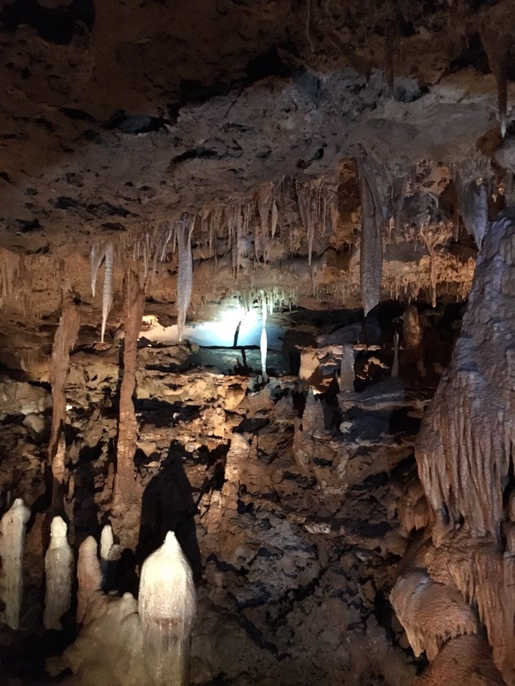 Inner Space Cavern - 413 Photos & 143 Reviews - Tours - 4200 S IH-35 ...