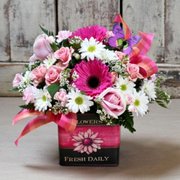 Pam’s Flower Garden - (New) 19 Photos - Florists - 793 Princess St ...