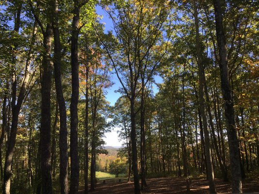 Spring City, TN Map & Directions - MapQuest