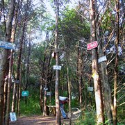 Oak Cliff Nature Preserve - 29 Photos & 17 Reviews - Parks - 2875 ...