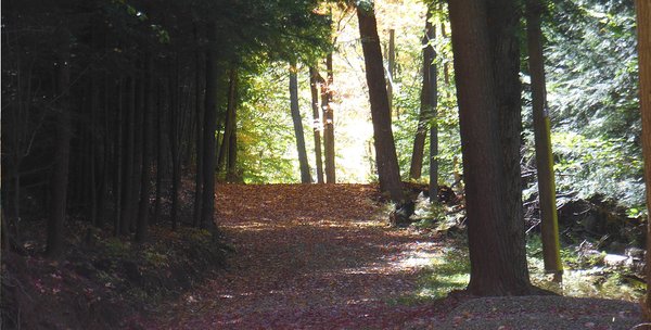 Genesee, PA Map & Directions - MapQuest