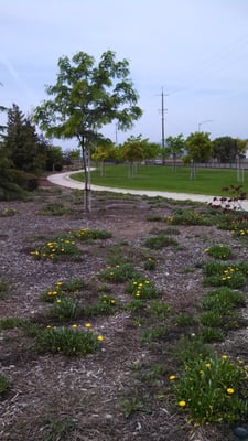 Greenfield, CA Map & Directions - MapQuest