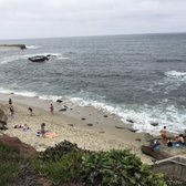 Shell Beach - 148 Photos & 28 Reviews - Beaches - Coast Blvd, La Jolla ...