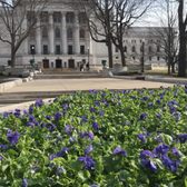 Dane County Farmer’s Market - 474 Photos & 283 Reviews - Farmers Market ...