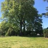 JC Raulston Arboretum - 2019 All You Need to Know BEFORE You Go (with ...