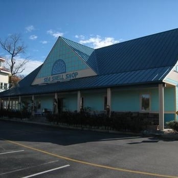 Sea Shell Shop - Last Updated June 12, 2017 - 31 Photos & 13 Reviews ...