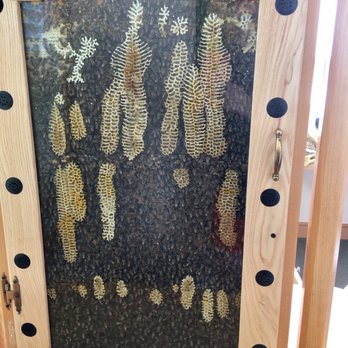 Emma Treadwell Thacher Nature Center - 23 Photos - Museums - 87 Nature ...