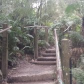 1000 Steps - 66 Photos & 17 Reviews - Hiking - Mt Dandenong Tourist Rd ...