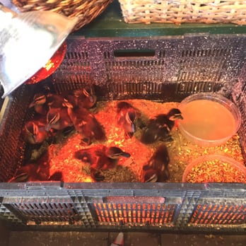 Merced Fruit Barn - 33 Photos & 17 Reviews - Fruits & Veggies - 4526 E ...