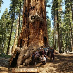 Frandy Campground - 40 Photos & 50 Reviews - Campgrounds - 11252 ...