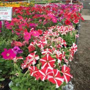 Maria Gardens Center - 10 Photos - Nurseries & Gardening - 10301 W ...