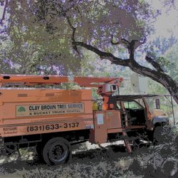 Clay Brown Tree Service - 14 Photos - Tree Services - 7651 Langley Cyn ...