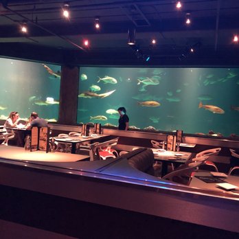 Sharks Underwater Grill - 301 Photos & 155 Reviews - American (New ...