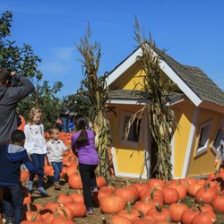 Apple Ridge Orchards - 82 Photos & 34 Reviews - Pick Your Own Farms ...