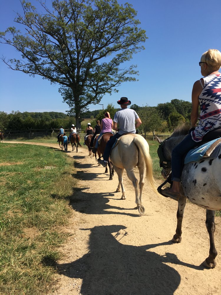 National Riding Stables - Horseback Riding - 610 Taneytown Rd ...