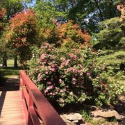 Knight Park - 18 Photos - Parks - Collings Ave Park Ave Browning Rd ...