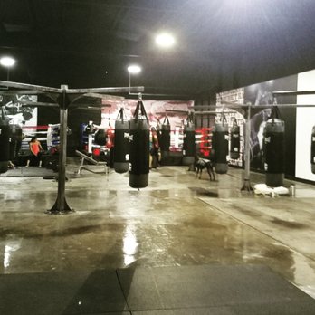 Baby Bull Boxing - 14 Photos & 29 Reviews - Boxing - 4701 Rose St ...