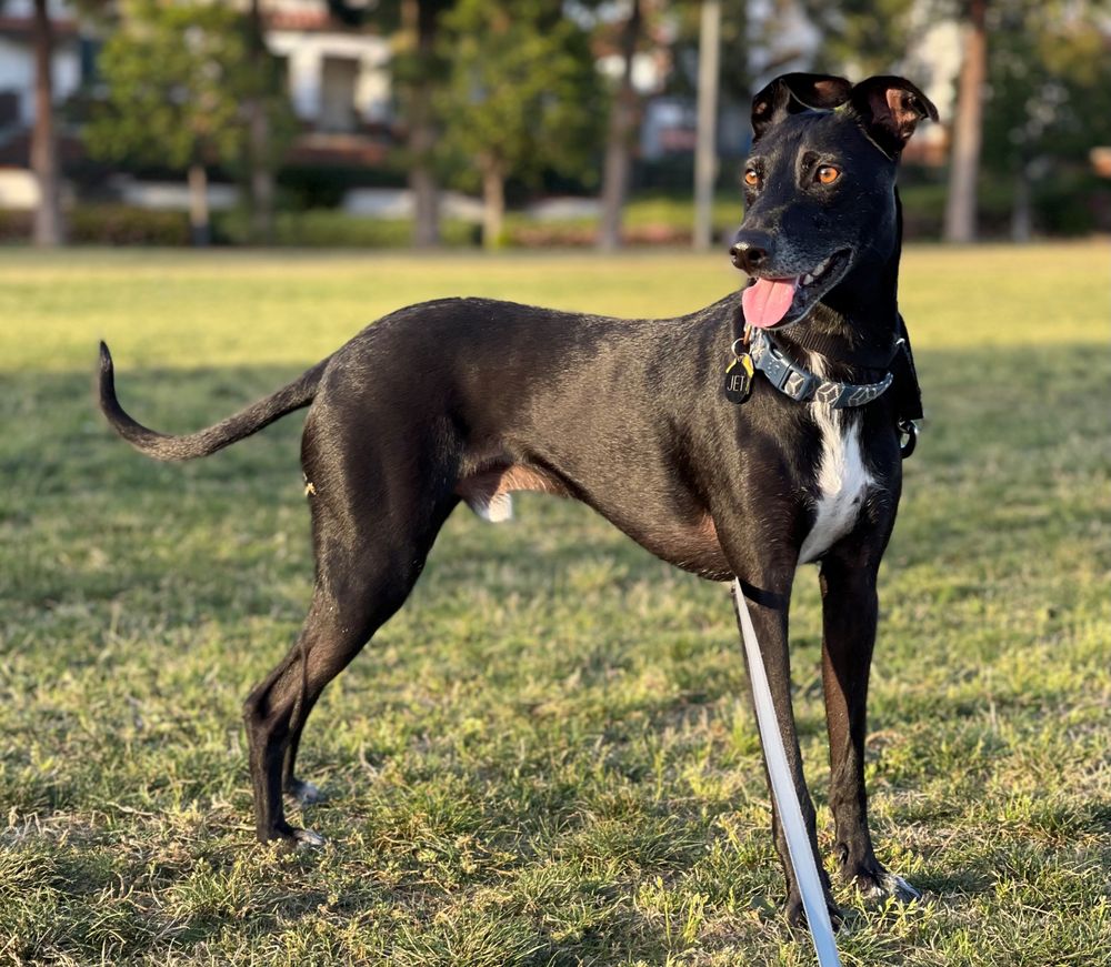 Exploring Portland Neighborhoods: Slabtown | Arrive Portland Oregon