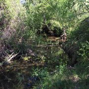 Lost Lake Park - 36 Photos - Parks - Fresno, CA - Yelp