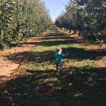 Evans Orchard & Cider Mill - (New) 183 Photos & 38 Reviews - Fruits ...