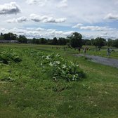 Verrill Farm - Order Online - 75 Photos & 94 Reviews - Farmers Market ...