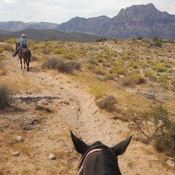 Cowboy Trail Rides - 95 Photos & 42 Reviews - Horseback Riding - 4053 ...