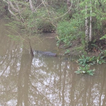 Gator Alley Boardwalk - 66 Photos & 10 Reviews - Parks - Gator Alley ...