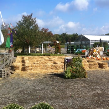 Secor Farms - 25 Photos & 19 Reviews - Fruits & Veggies - 168 Airmont ...