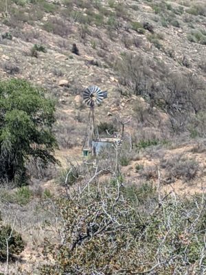 Oracle, AZ Map & Directions - MapQuest