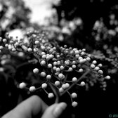 Arthur R Marshall Loxahatchee National Wildlife Refuge - 178 Photos ...