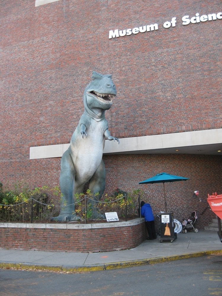 Museum of Science - 775 Photos & 601 Reviews - Museums - 1 Science Park ...